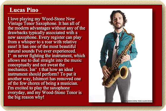 Tenor : Wood Stone - ISHIMORI Wind Instruments